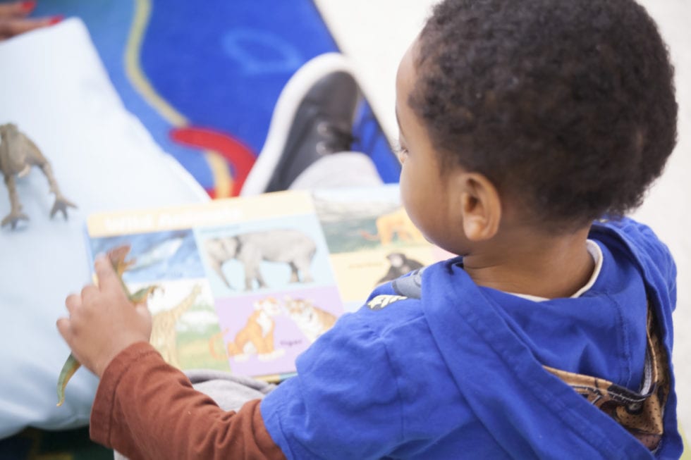 Build Literacy Skills And Home School Connections The Playground Build Literacy Skills And Home School Connections The Playground